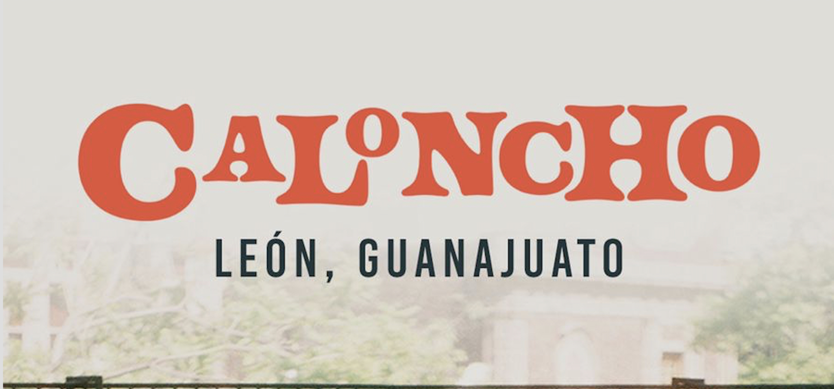 Caloncho en León | Boletia